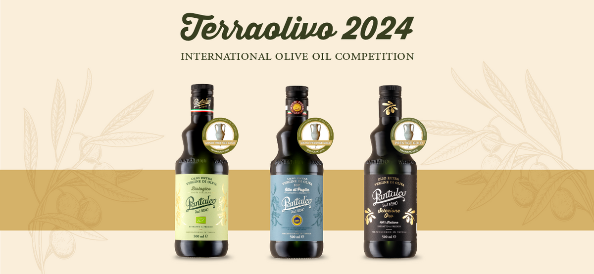 Pantaleo shines at the 2024 edition of the Terraolivo competition ...
